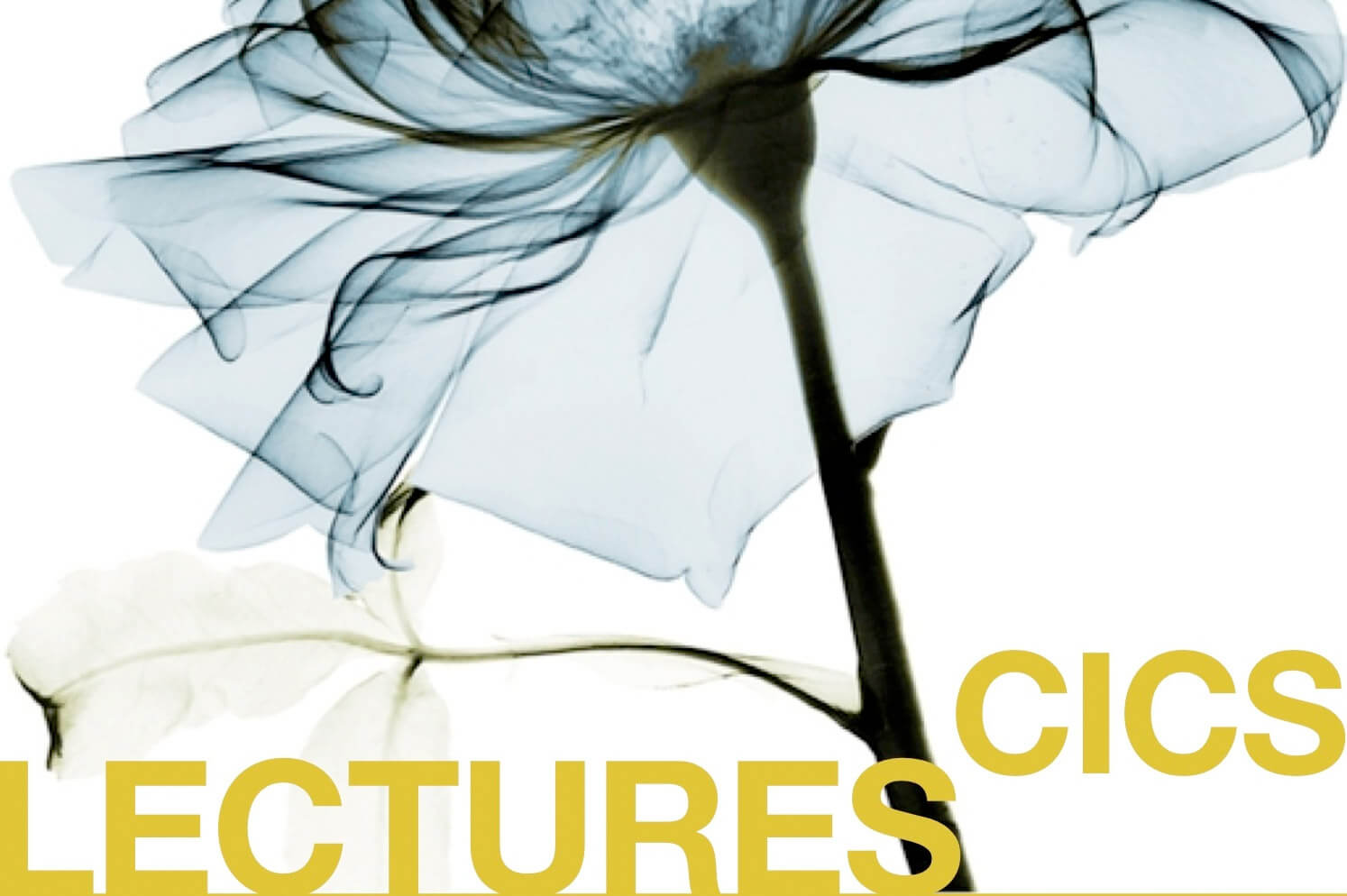 "Dynamic mechanism design for a global commons". Rodrigo Harrison's ...